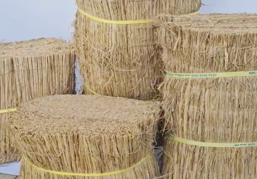 왕골(바람막이) 60cm 20m 방풍막 월동자재 잠복소 볏짚 월동준비 - 옥션